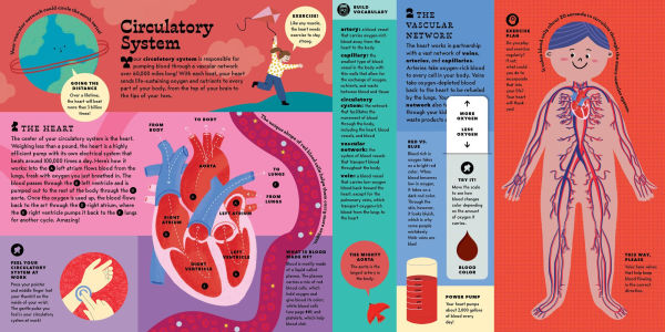The Interactive Human Body: Explore the human body with flaps, wheels ...