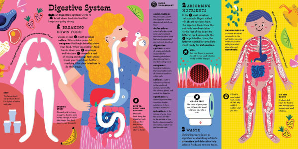 The Interactive Human Body: Explore the human body with flaps, wheels ...