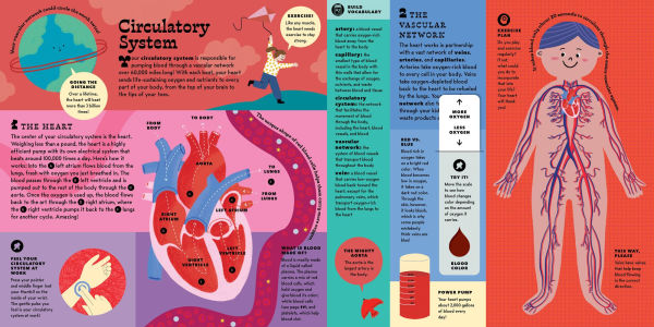 The Interactive Human Body: Explore the human body with flaps, wheels ...