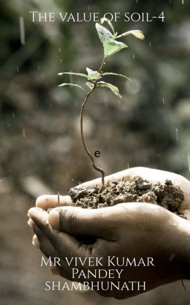 The value of soil-4 by Vivek, Paperback | Barnes & Noble®