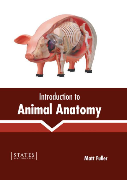 Introduction to Animal Anatomy by Matt Fuller, Hardcover | Barnes & Noble®