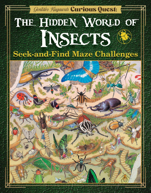 Insect Seek-and-Find Maze Challenge: 12 Absolutely Amazing Learn & Play ...