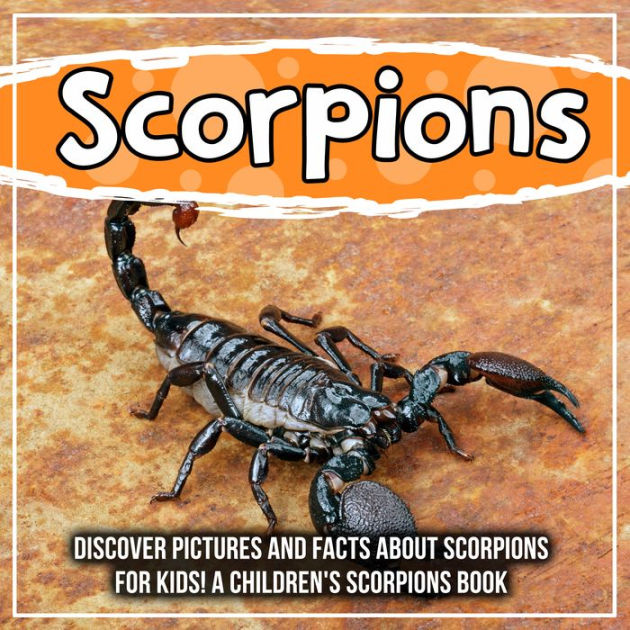 Scorpions: Discover Pictures and Facts About Scorpions For Kids! A ...
