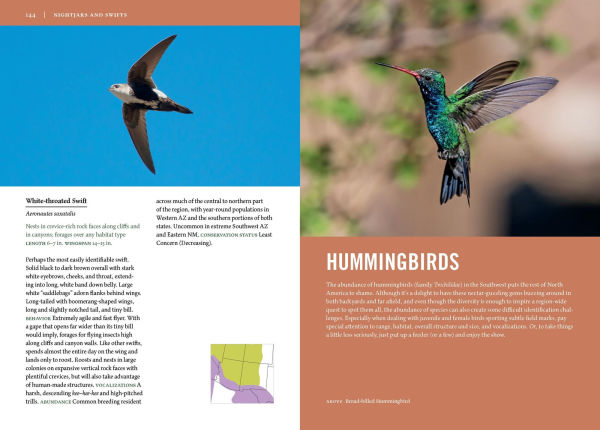 Birds of Arizona and New Mexico by Melissa Fratello, Steven Prager ...