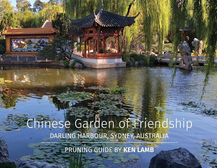 Chinese Garden of Friendship, Darling Harbour, Sydney, Australia ...
