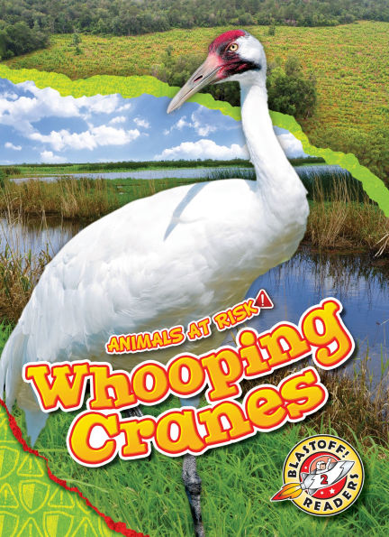 Whooping Cranes by Rachel Grack | eBook (NOOK Kids) | Barnes & Noble®