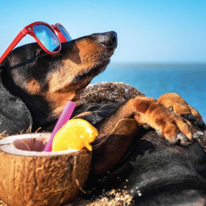 Officially Off the Clock: Best Wishes for a Happy Retirement by Editors ...