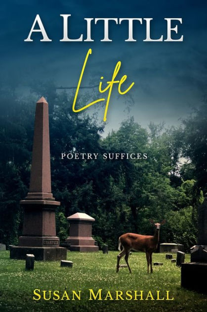 A Little Life by Susan Marshall, Paperback | Barnes & Noble®