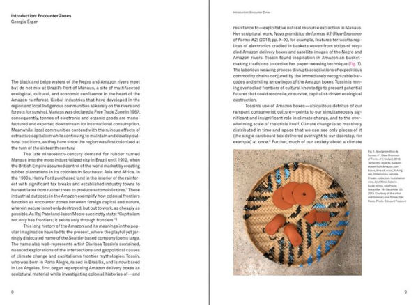 Clarissa Tossin: To Take Root among the Stars by Clarissa Tossin ...