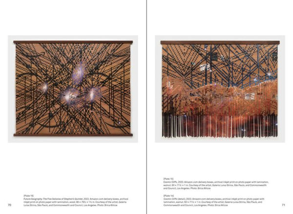 Clarissa Tossin: To Take Root among the Stars by Clarissa Tossin ...