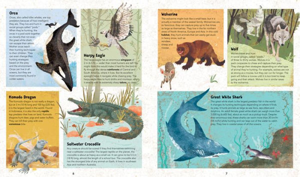 Barefoot Books Incredible Animals by Dunia Rahwan, Paola Formica ...