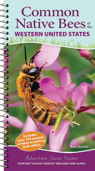 Common Native Bees of the Western United States: Your Way to Easily ...