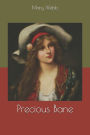 Precious Bane by Mary Webb, Paperback | Barnes & Noble®