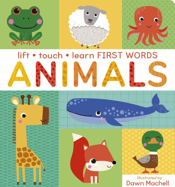 Lift Touch and Learn First Words: Animals by Villetta Craven, Dawn ...