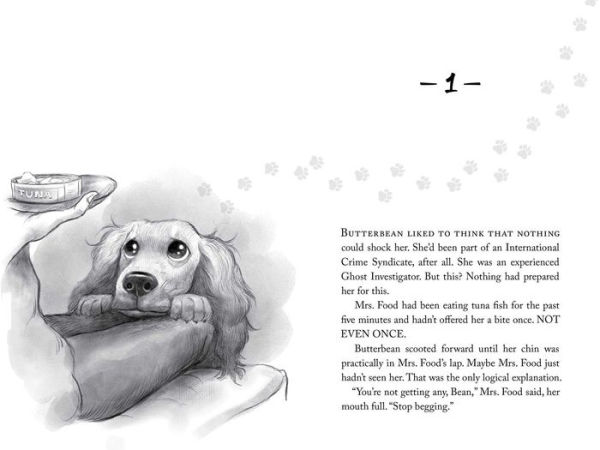 The Great Vandal Scandal by Emily Ecton, David Mottram, Hardcover ...