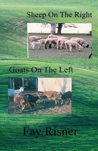 Sheep On The Right Goats On The Left by Fay Risner, Paperback | Barnes ...