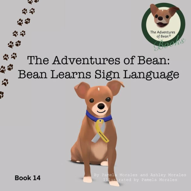 The Adventures of Bean: Bean Learns Sign Language: by Pamela Morales ...