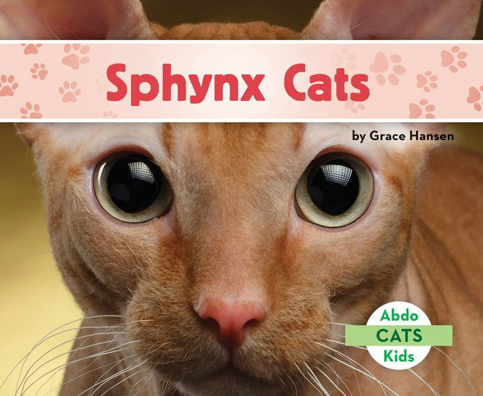 Sphynx Cats by Grace Hansen | eBook | Barnes & Noble®
