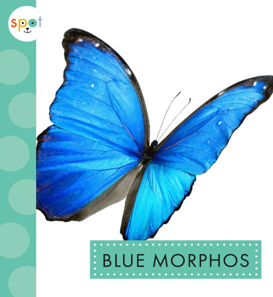Blue Morphos by Alissa Thielges, Paperback | Barnes & Noble®