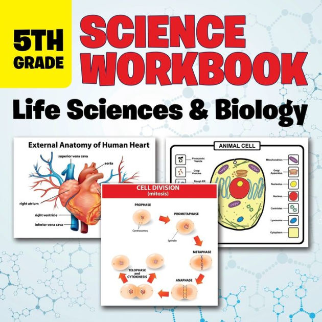 5th Grade Science Workbook: Life Sciences & Biology by Baby Professor ...