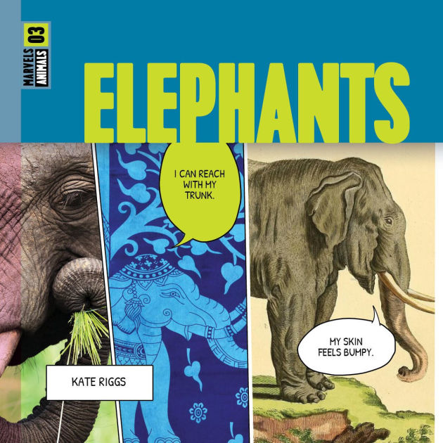 Elephants by Kate Riggs, Paperback | Barnes & Noble®