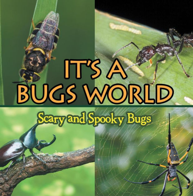 Its A Bugs World: Scary and Spooky Bugs: Insects for Kids - Entomology ...