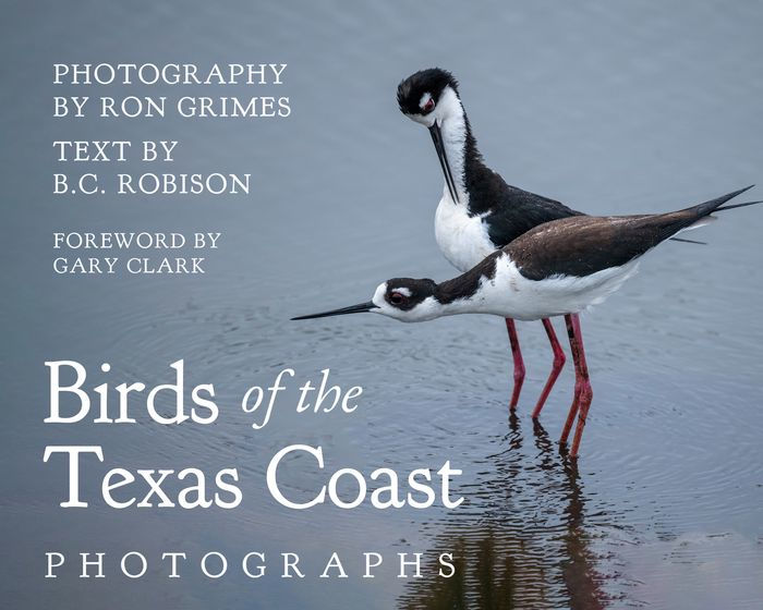 Birds of the Texas Coast: Photographs by Ron Grimes, Hardcover | Barnes ...