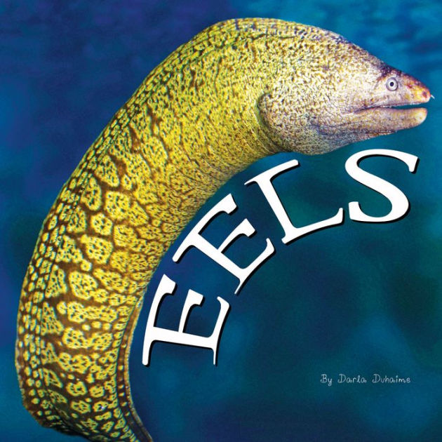 Eels by Darla Duhaime | eBook (NOOK Kids) | Barnes & Noble®