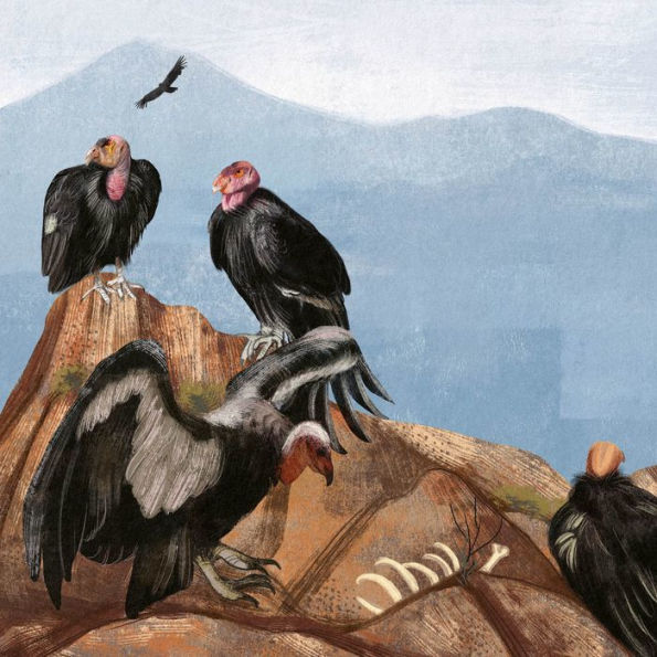 Rewilding: Bringing Wildlife Back Where It Belongs by David A. Steen, Chiara Fedele, Neon Squid ...