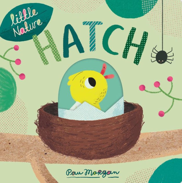Hatch by Isabel Otter, Pau Morgan, Board Book | Barnes & Noble®