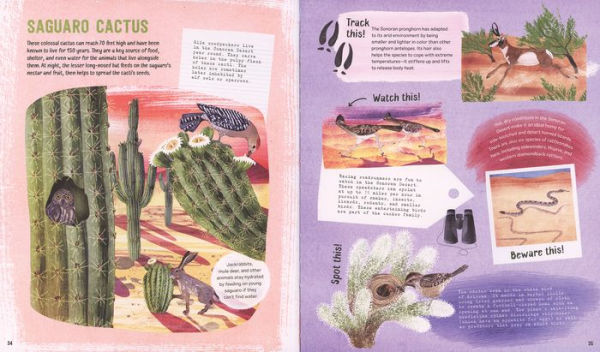 Explore! America's Wildlife by Kitson Jazynka, Hannah Bailey, Hardcover ...