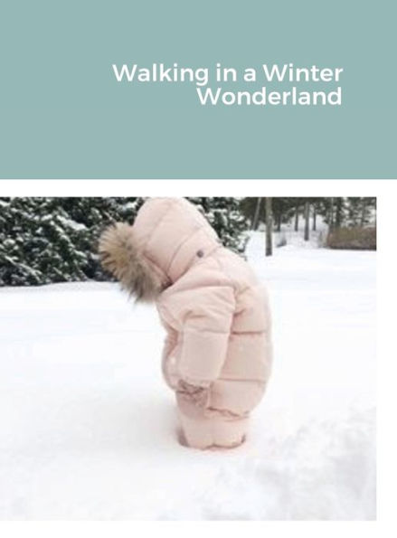 Walking in a Winter Wonderland by William Smith, Hardcover | Barnes ...