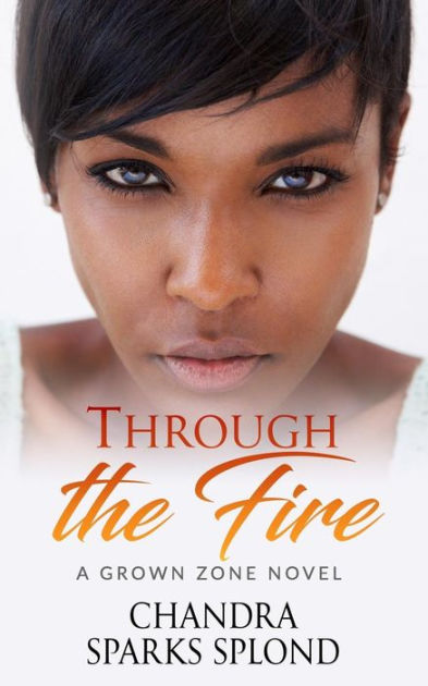 Through the Fire by Chandra Sparks Taylor, Chandra Sparks Splond ...
