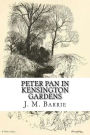 Peter Pan in Kensington Gardens by J. M. Barrie, Paperback | Barnes ...