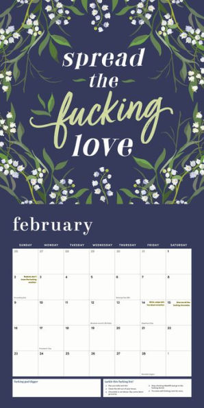 2025 She Believed She Could So She F*cking Did Wall by Sourcebooks ...