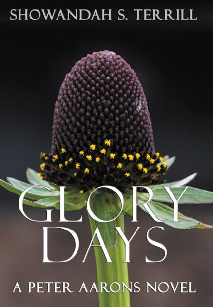Glory Days (Remastered) by Showandah S Terrill | eBook | Barnes & Noble®