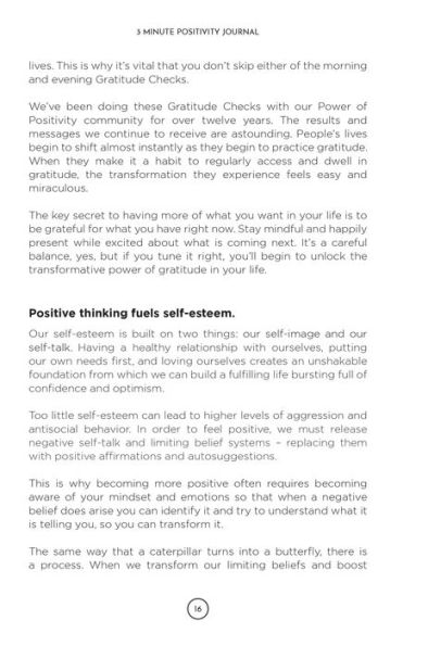 3 Minute Positivity Journal: Boost Your Mood. Train Your Mind. Change ...
