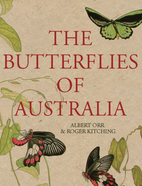The Butterflies of Australia by Albert Orr, Roger Kitching, Paperback ...