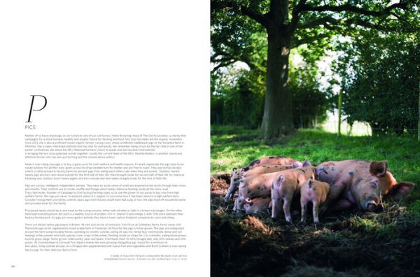 Soil to Table: Recipes for Healthy Soil and Food by Bridget Elworthy ...