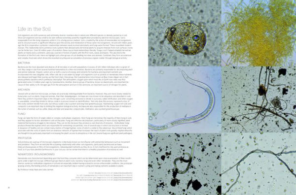 Soil to Table: Recipes for Healthy Soil and Food by Bridget Elworthy ...