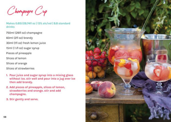 Jugs & Punches: Easy-to-follow recipes by Steve Quirk, Hardcover ...