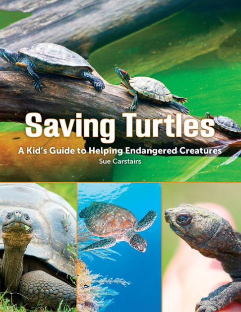 Saving Turtles: A Kids' Guide to Helping Endangered Creatures by Sue ...