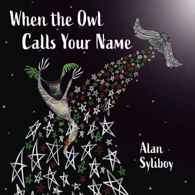 When the Owl Calls Your Name by Alan Syliboy, Hardcover | Barnes & Noble®
