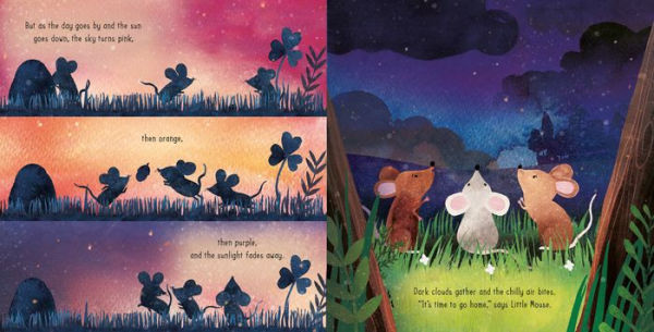 Bedtime, Little Mouse by Magali Mialaret, Carmen Saldaïa, Paperback ...