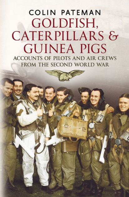 Goldfish Caterpillars and Guinea Pigs: Accounts of Pilots and Air Crews ...