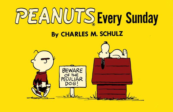 Peanuts Every Sunday (Peanuts Vol. 10) by Charles M. Schulz, Paperback ...