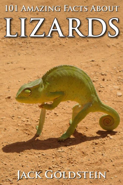 101 Amazing Facts about Lizards by Jack Goldstein | eBook | Barnes & Noble®