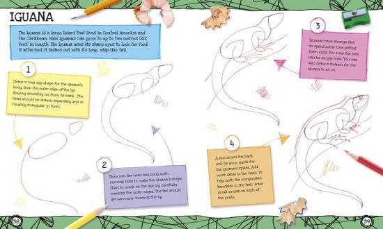 How to Draw Everything by Peter Gray, Paperback | Barnes & Noble®