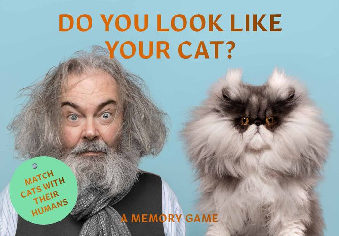 Do You Look Like Your Cat?: A Matching Memory Game by Debora Robertson ...