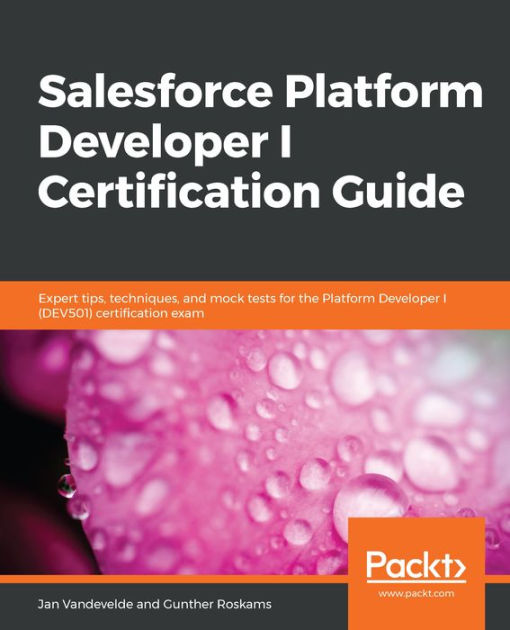 Salesforce Platform Developer I Certification Guide: Expert tips ...